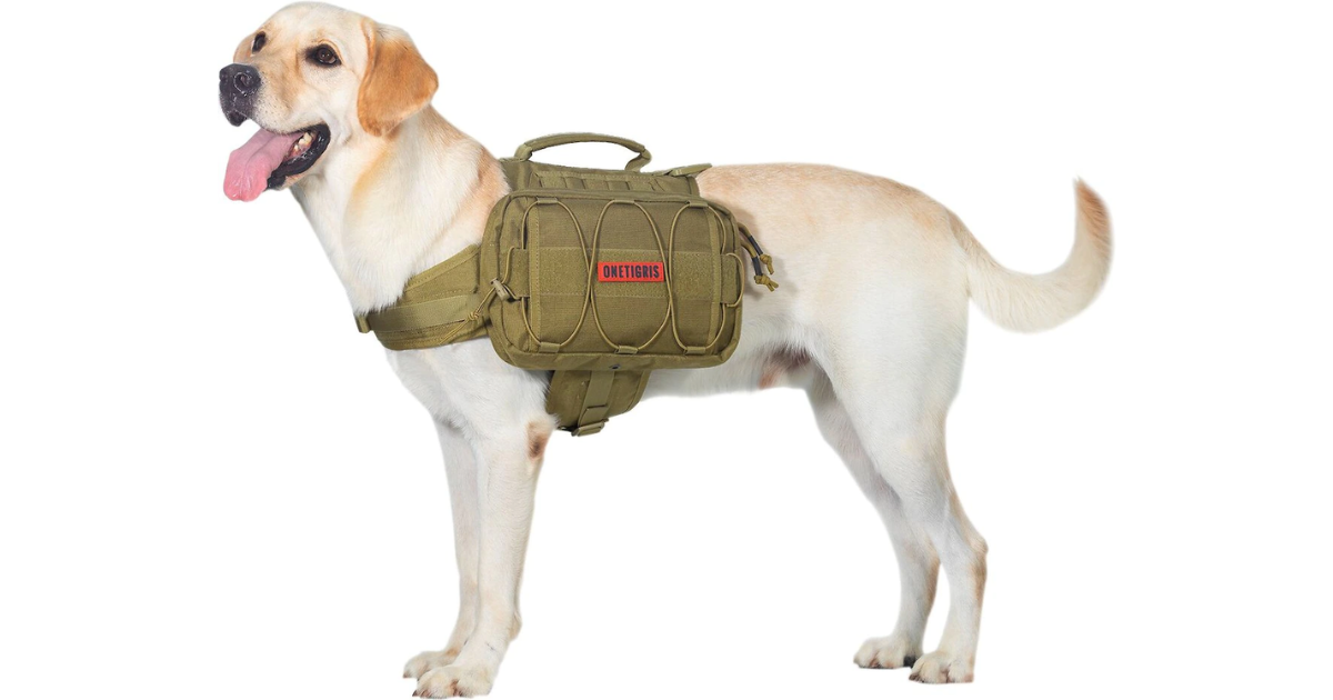 Check Out These Backpacks for Your Dog - Canine Country