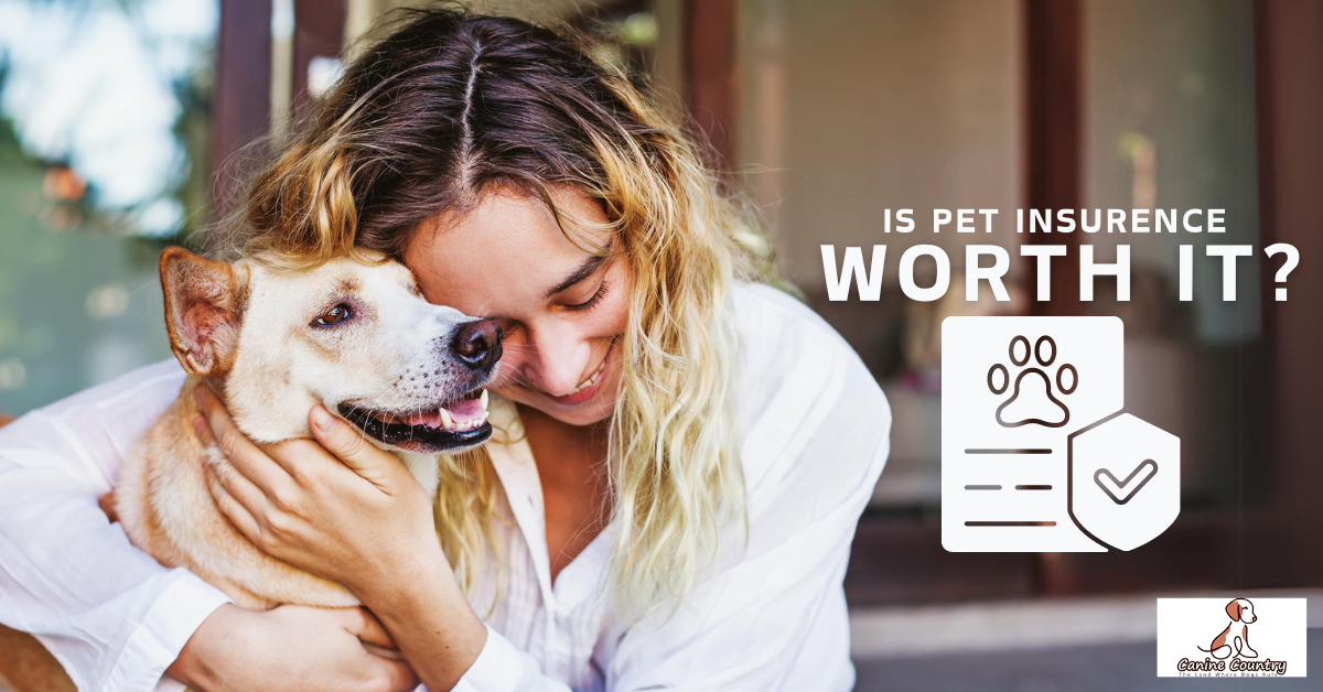 Is Pet Insurance Worth it? | Canine Country