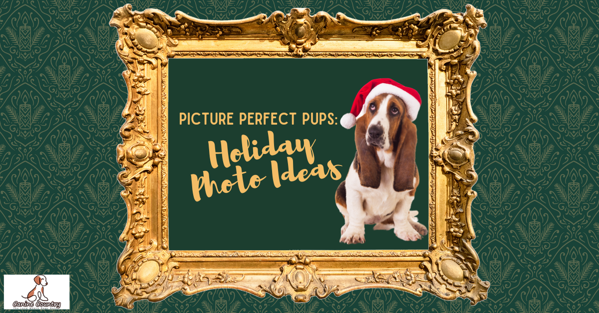 Picture Perfect Pups: Holiday Photo Ideas | Canine Country