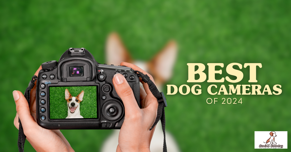 The Best Dog Cameras in 2024 - Canine Country